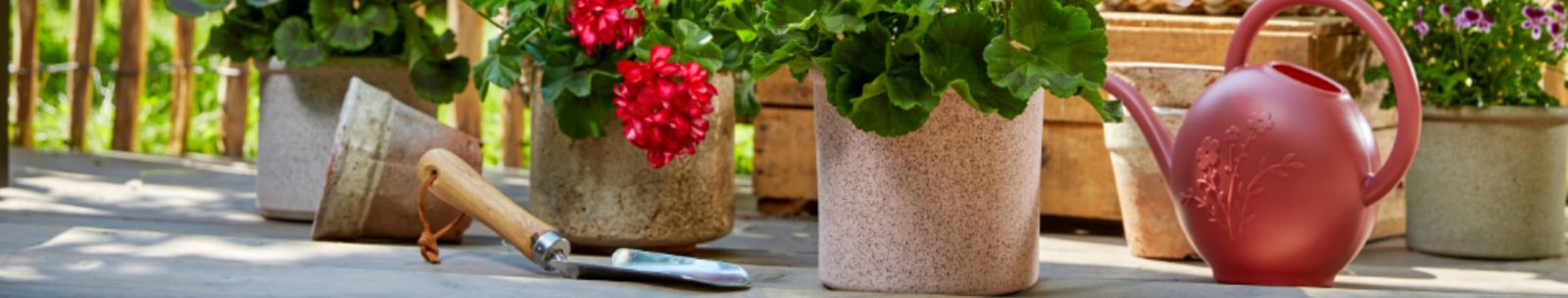 Welcome to HortiCentre in Wakefield