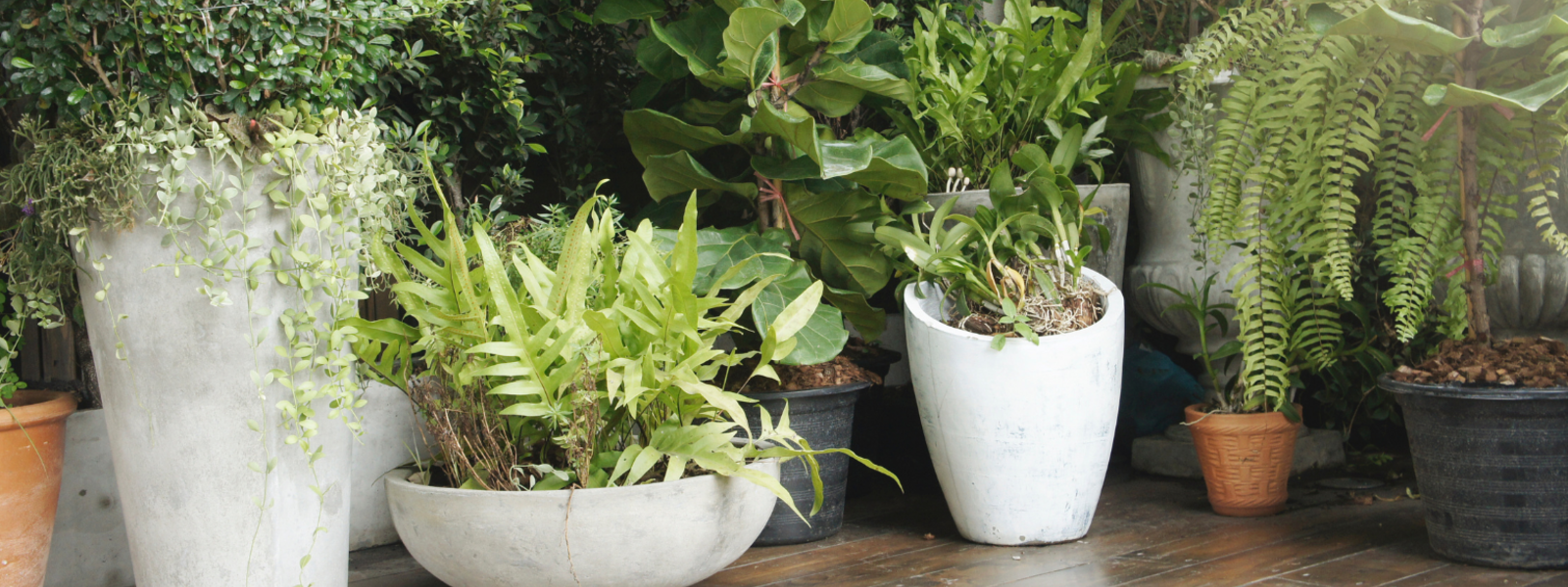 Pots & Planters - Page 4 - Horticentre - Your Family Run Garden Centre ...