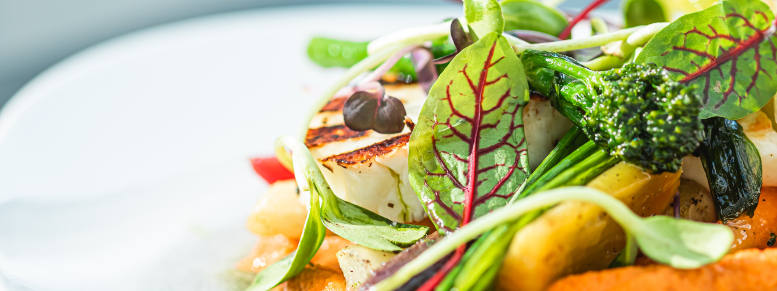 Seed Room Coffee Shop and Bistro - Horticentre - Your Family Run Garden ...