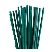 24'' Green Stick Canes X 10 - Horticentre - Your Family Run Garden ...