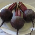 Beetroot Red Ace F1 Kings Seeds - Horticentre - Your Family Run Garden ...