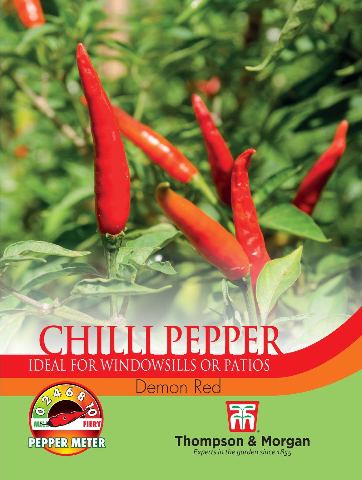 Chilli Pepper - Demon Red - Thompson and Morgan Seed Pack - Horticentre ...