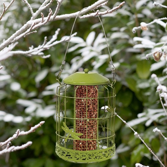 Decor Squirrel Proof Peanut Feeder - Horticentre - Your Family Run ...