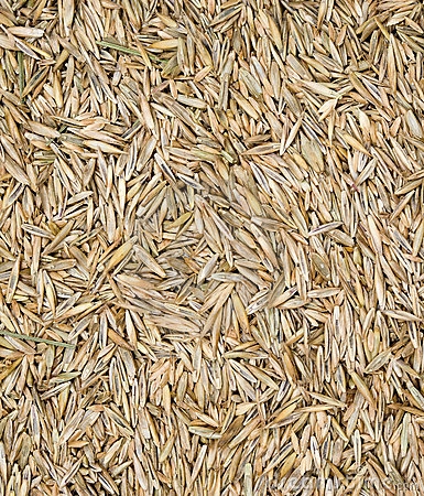 Lawn/Grass Seed Premier 1 Kg - Horticentre - Your Family Run Garden ...