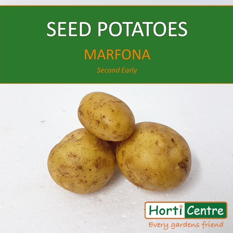Marfona Scottish Seed Potatoes 1.5Kg - Horticentre - Your Family Run ...