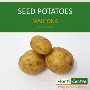 Second Early Seed Potatoes | Horticentre Garden Centre - Horticentre ...