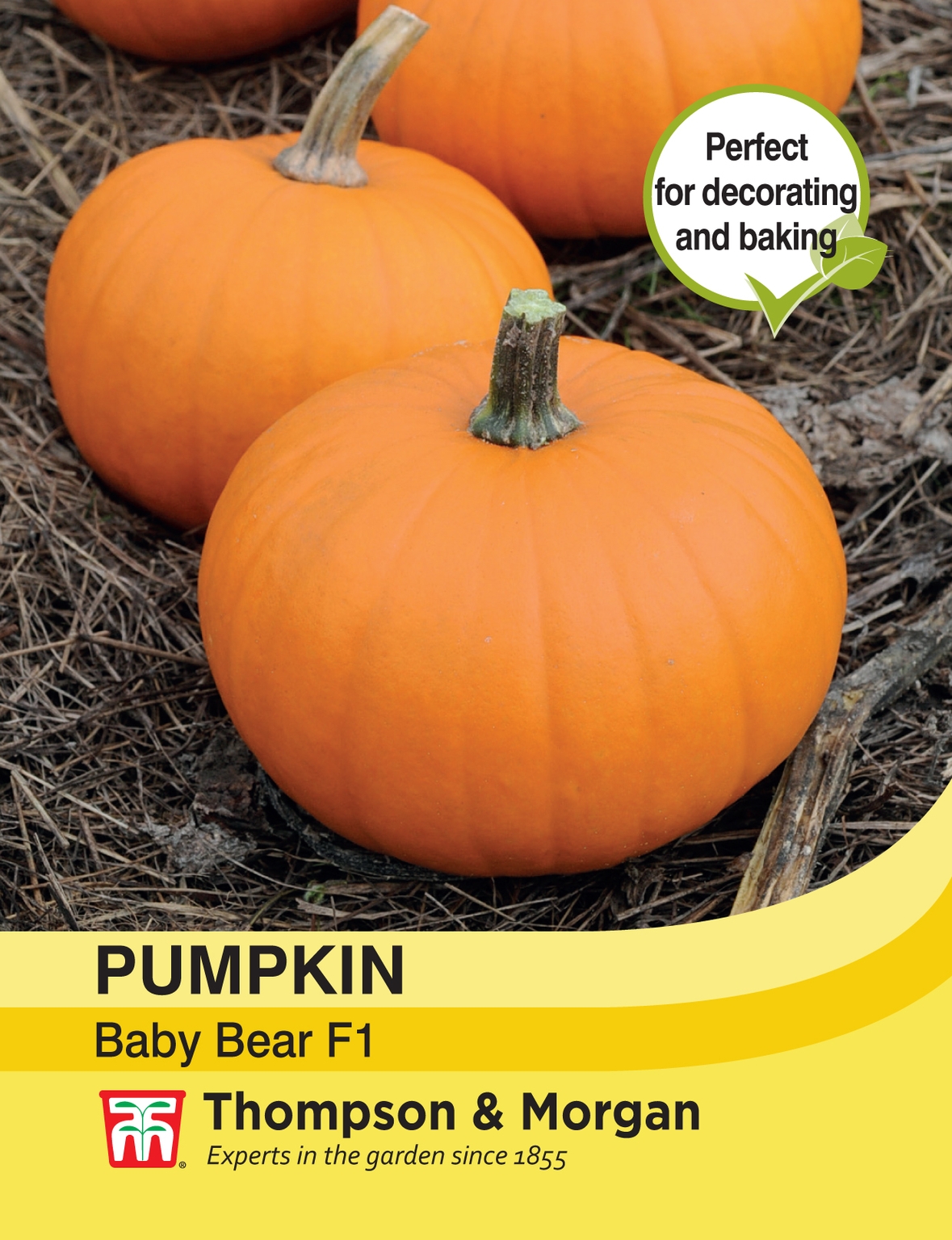 Pumpkin - Baby Bear F1 - Thompson and Morgan Seed Pack - Horticentre ...