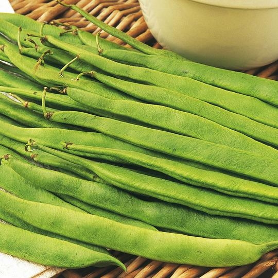 Runner Bean Sunset Improved Seed Pack - Horticentre - Your Family Run ...