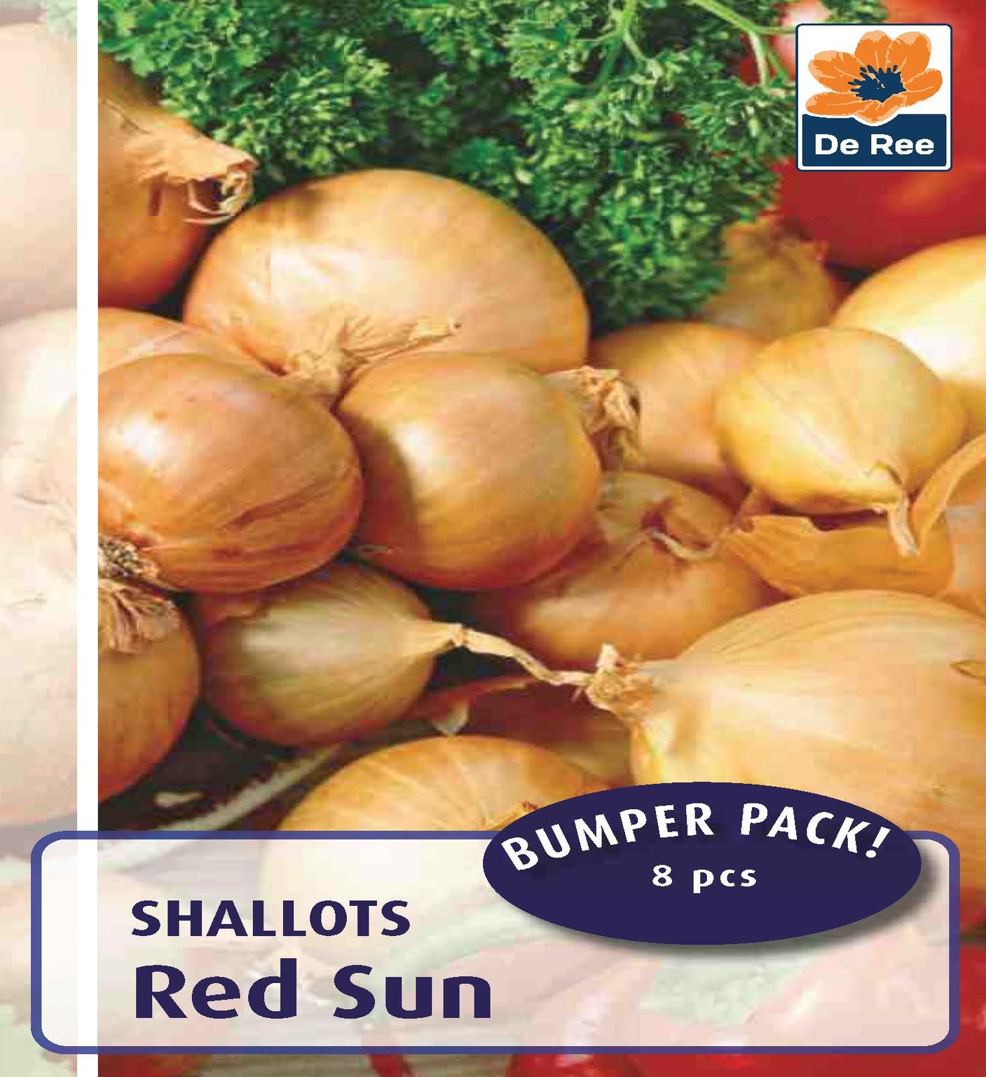 Shallots Red Sun 8 Bulbs - Horticentre - Your Family Run Garden Centre ...