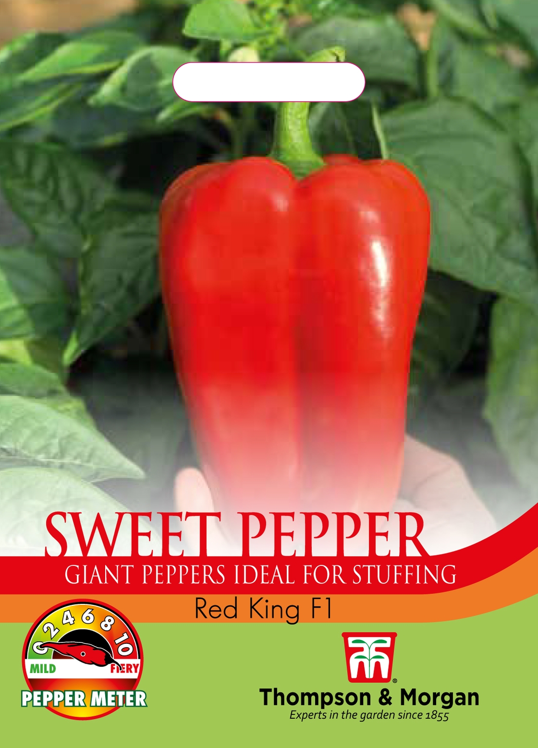 Sweet Pepper - Red King F1 - Thompson and Morgan Seed Pack ...