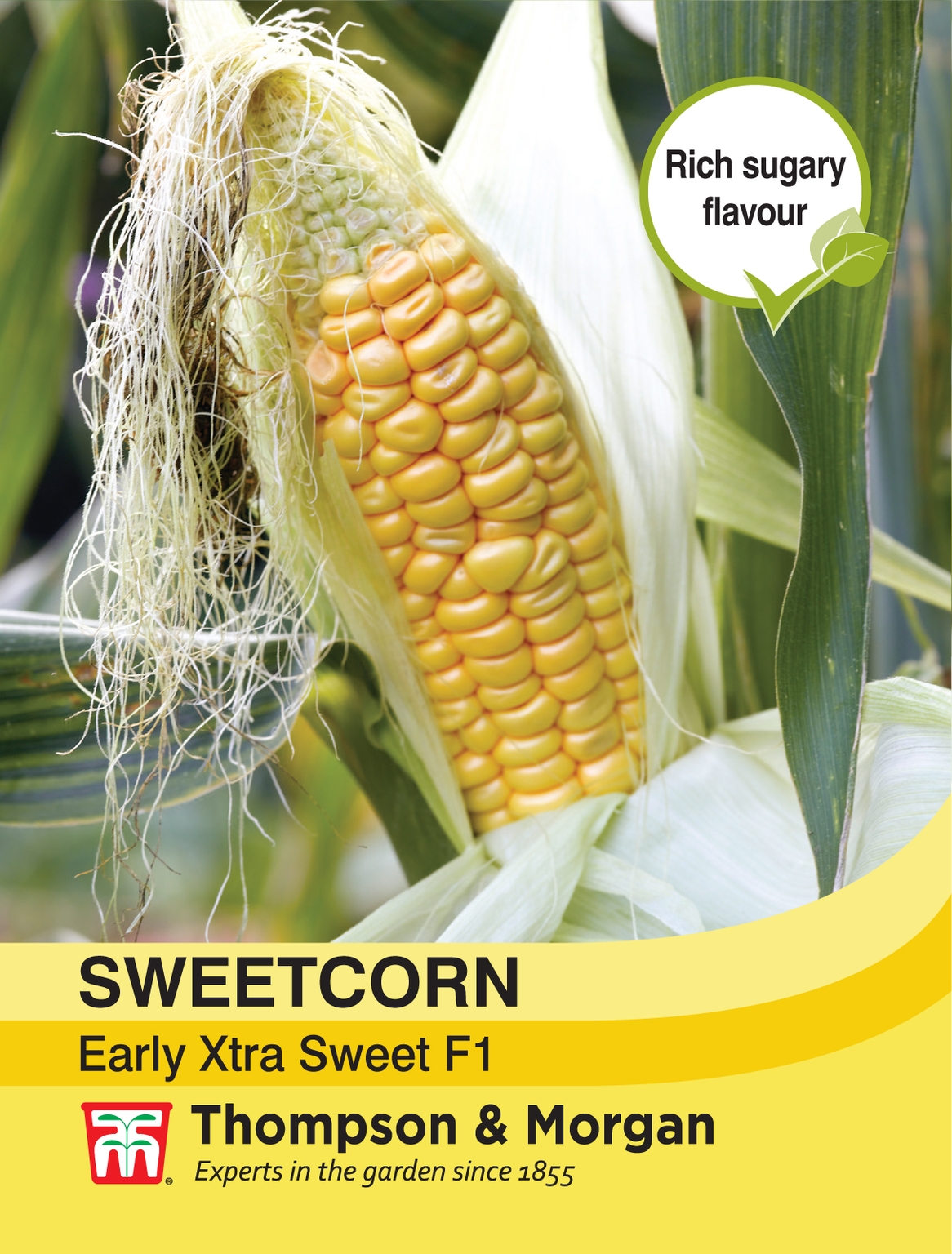 Sweetcorn - Early Xtra Sweet F1 - Thompson and Morgan Seed Pack ...